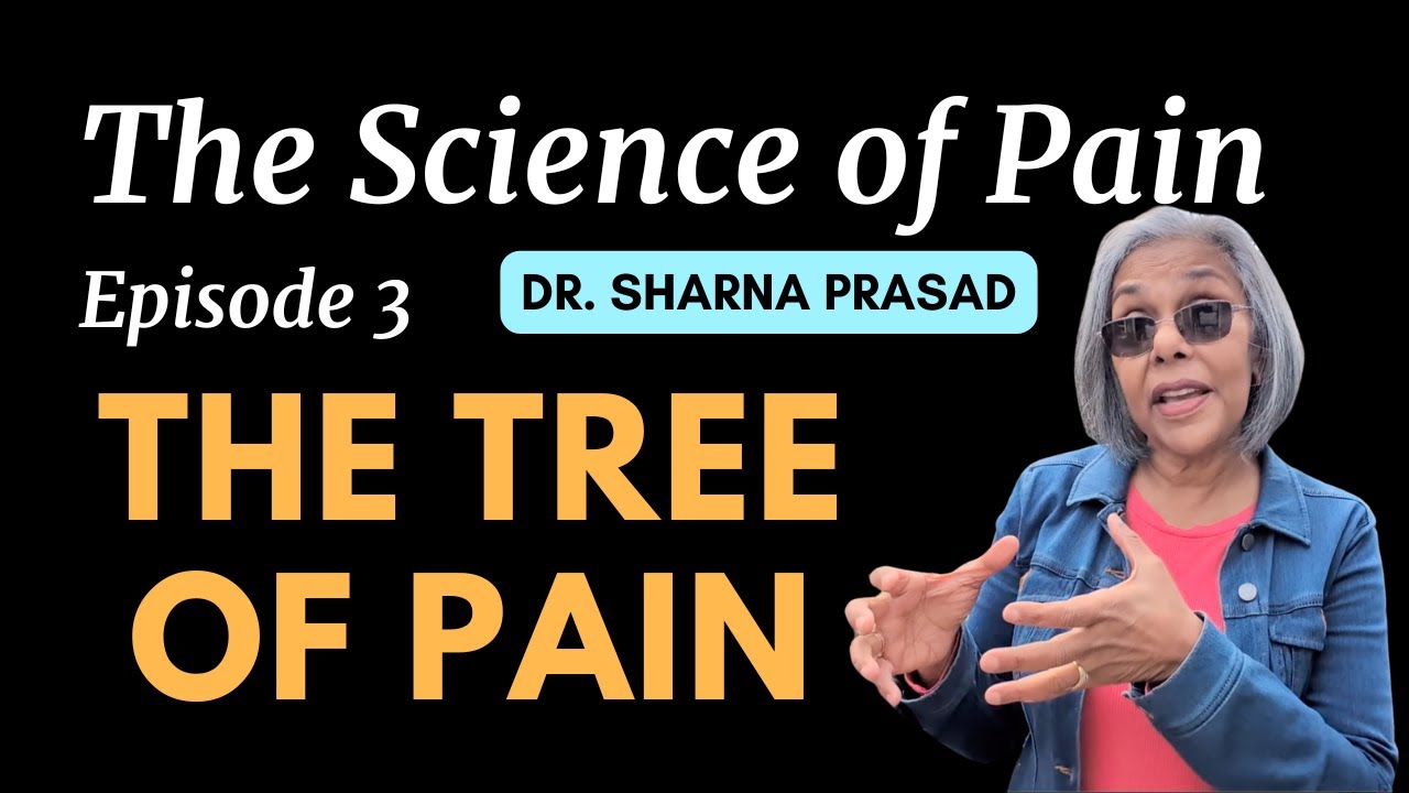 Tree of Pain: A Living Analogy | The Science of Pain with Dr. Sharna ...