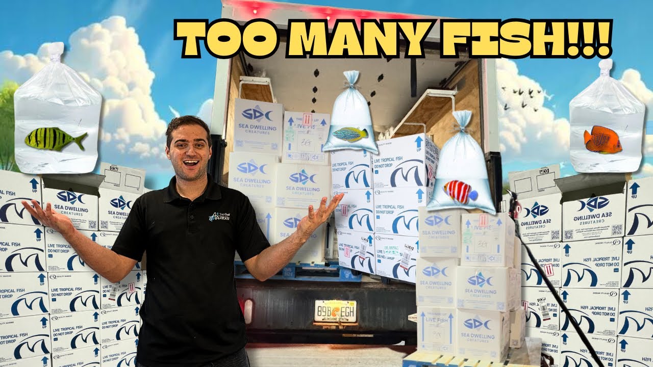 OUR BIGGEST EXOTIC FISH UNBOXING EVER!!! **WITH PAUL CUFFARO, FINATIC ...