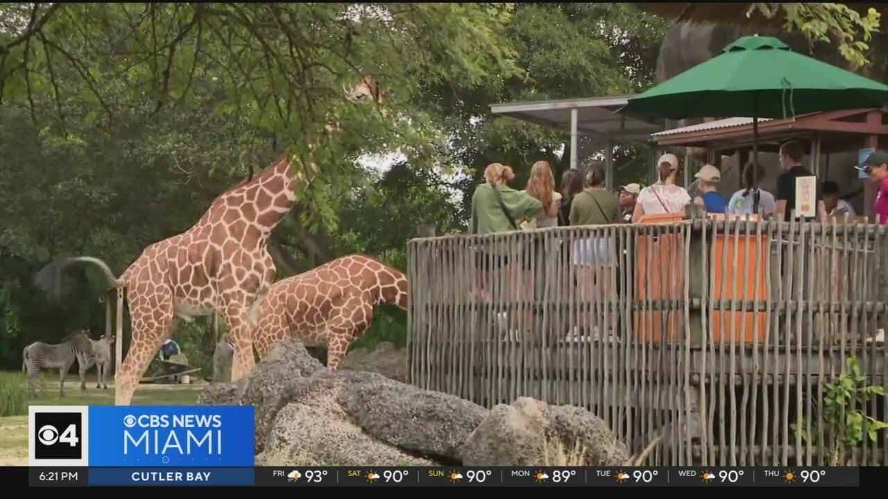 Miami Zoo