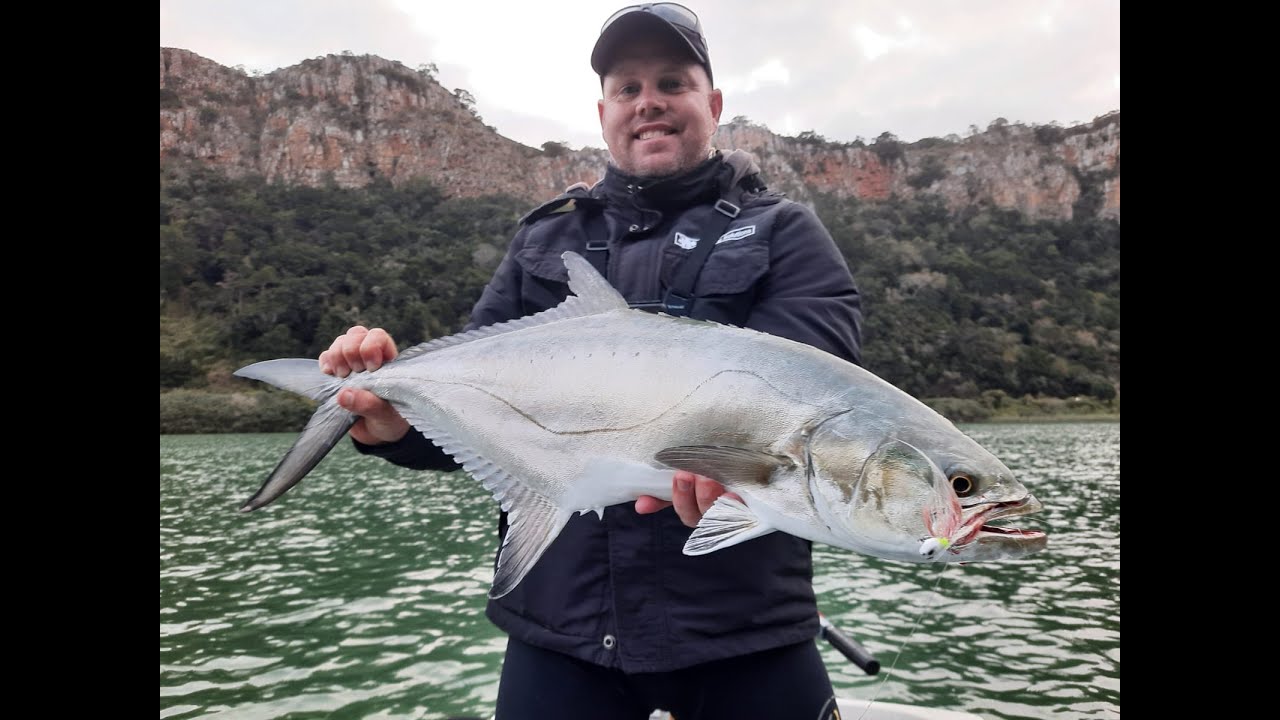 Large Port St John's Garrick. Final session catching these shoaling ...