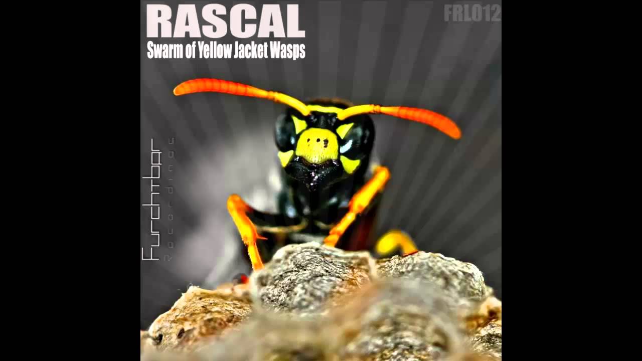Rascal - Hive [ FRL 012 ] - YouTube