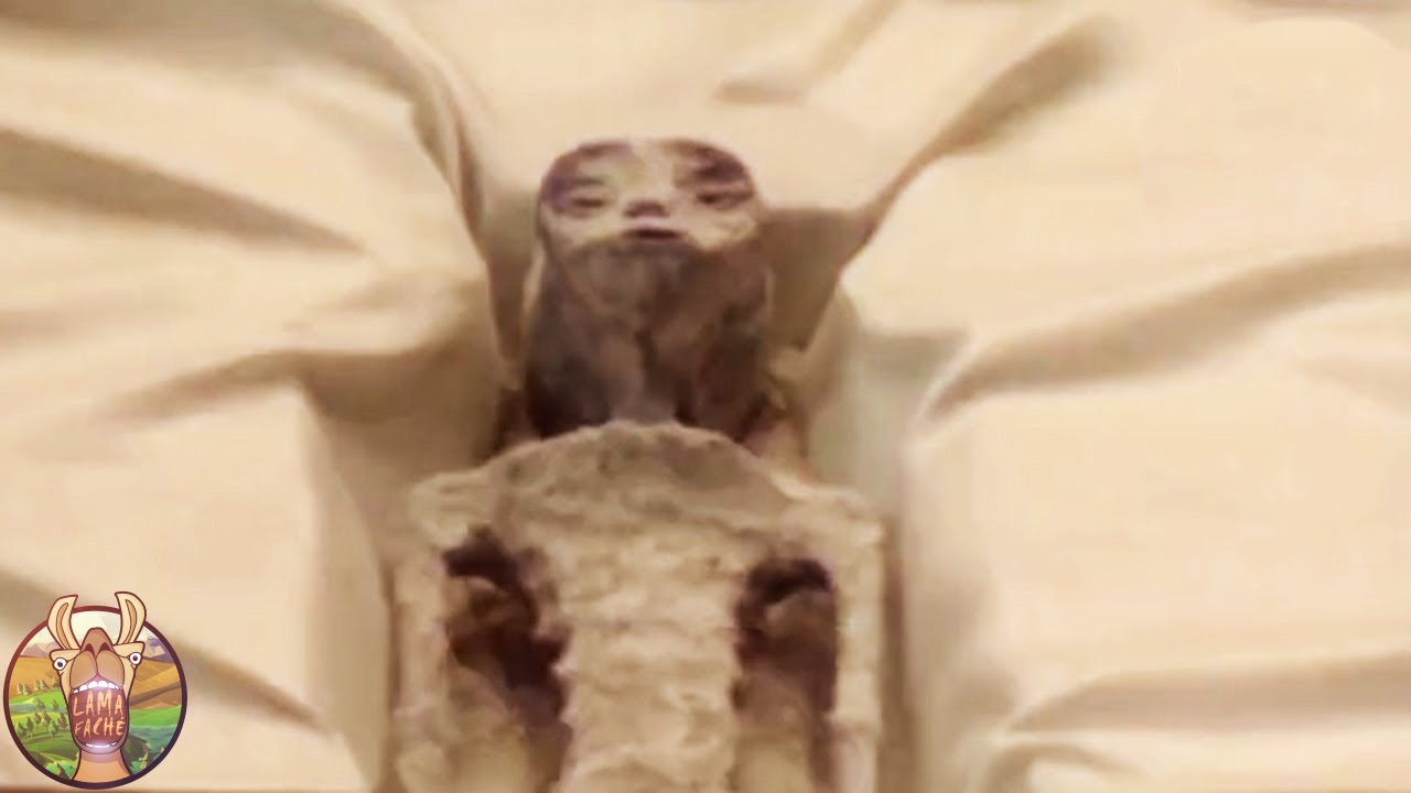 Un VRAI Extraterrestre retrouvé au Mexique ? - YouTube