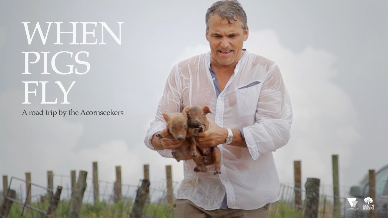 When Pigs Fly Documentary (trailer) - YouTube