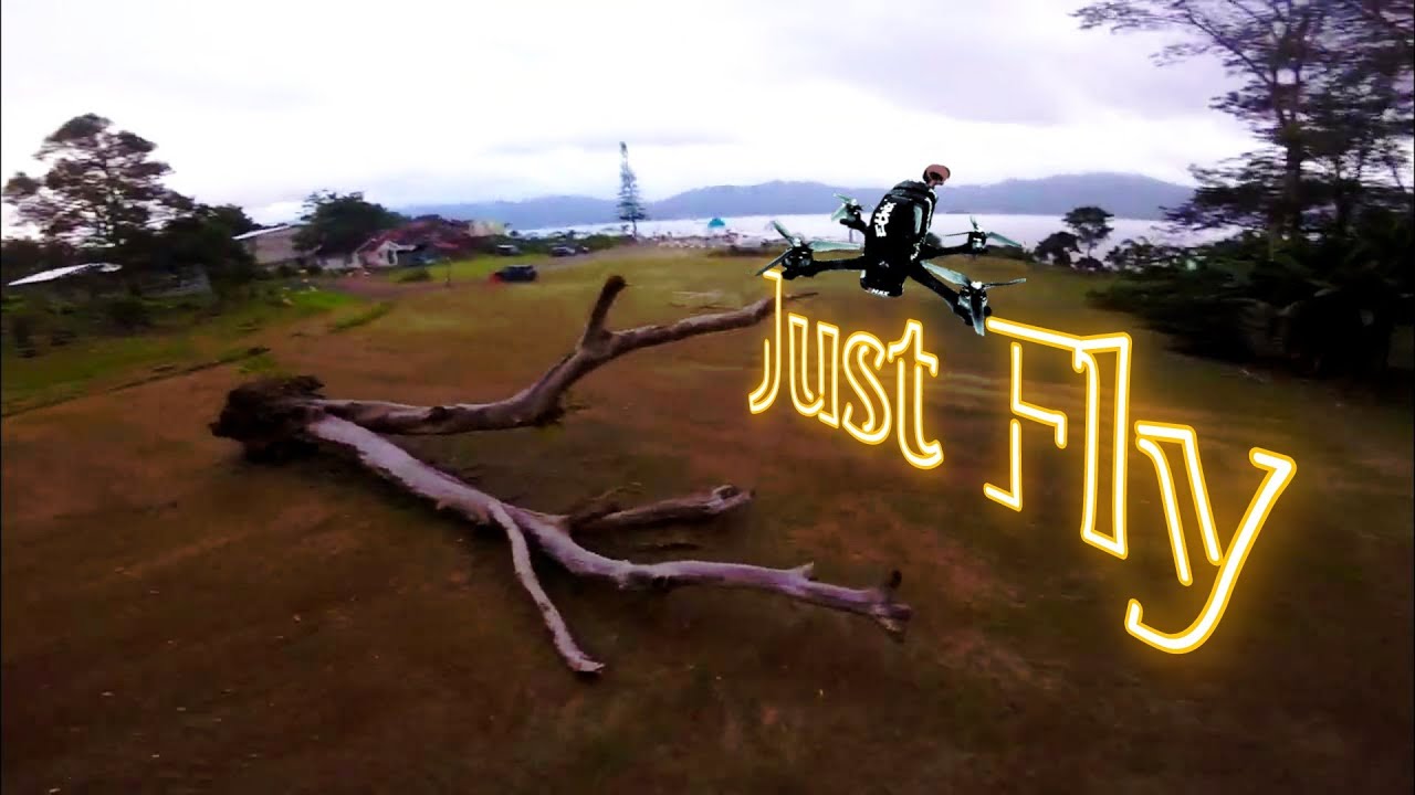 just fly - YouTube