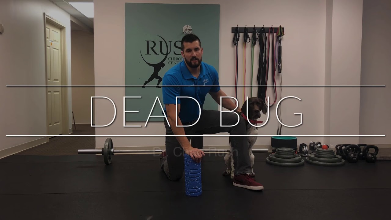 Dead Bug: Core Exercise for Lower Back Pain and Core Strengthening ...