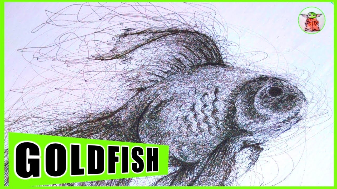 GOLDFISH || Scribble Art || Art video - YouTube