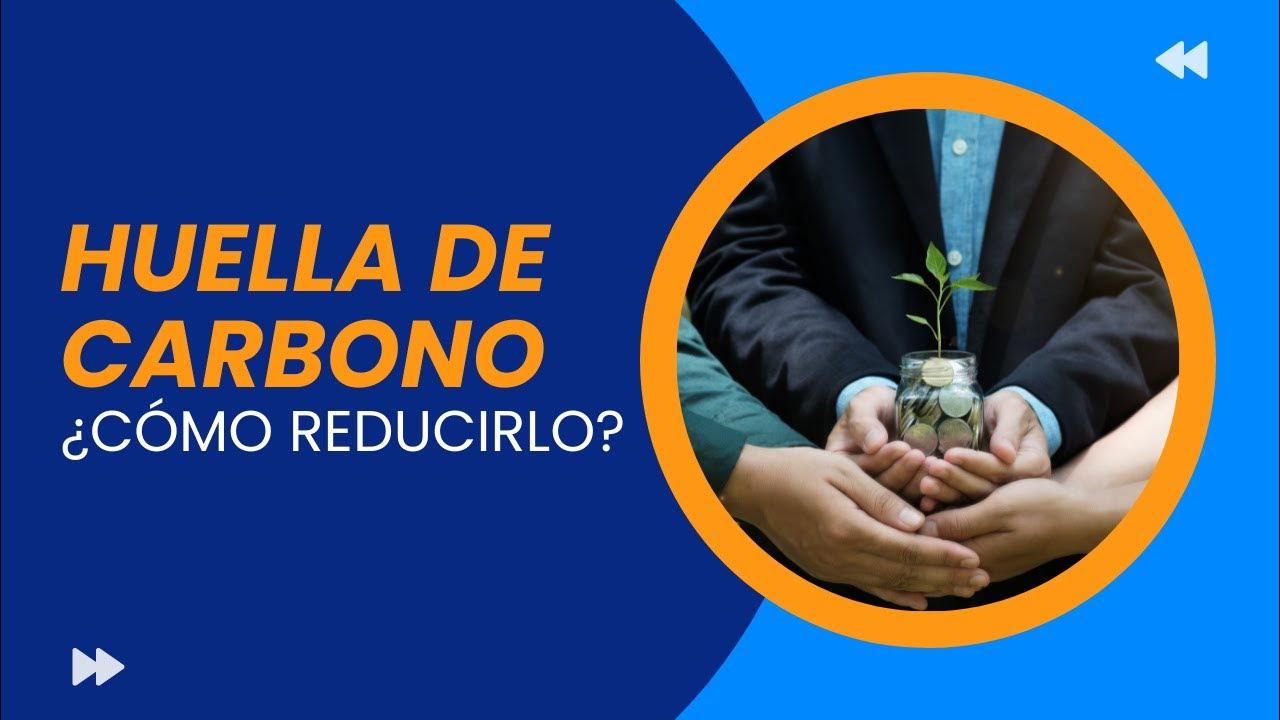 Cómo reducir la huella de carbono en el mundo empresarial - YouTube