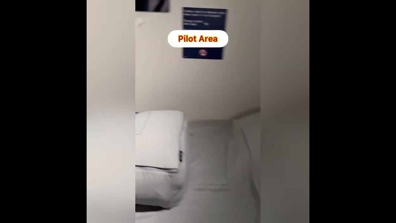 A tour of the A330-300 Crew rest facility! - YouTube