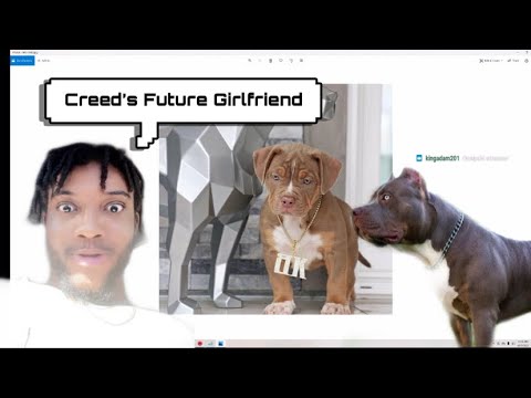 YourRAGE Gives Chat Sneak Peak Of Creed's Future Girlfriend ...