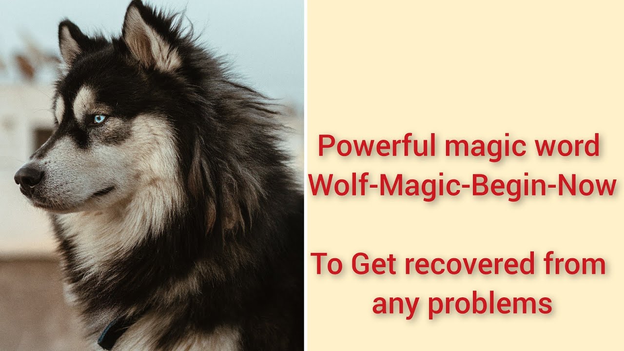 Magical switchword Wolf-Magic- Begin-Now. Let's see the magic in your ...