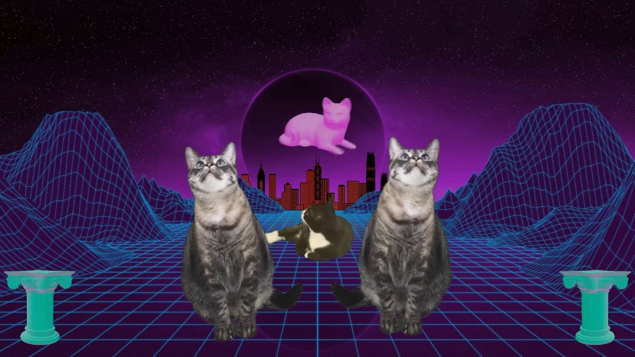 vaporwave cats - YouTube