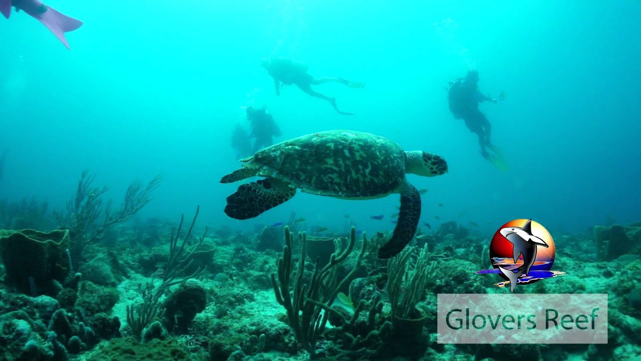 Glovers Reef, Grenada - YouTube