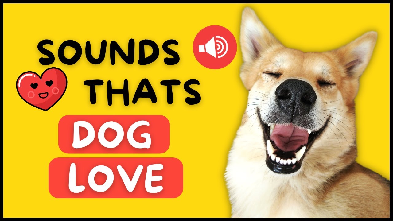 SOUNDS ALL DOGS LOVE🐶😍- SOUNDS DOGS LIKE - YouTube