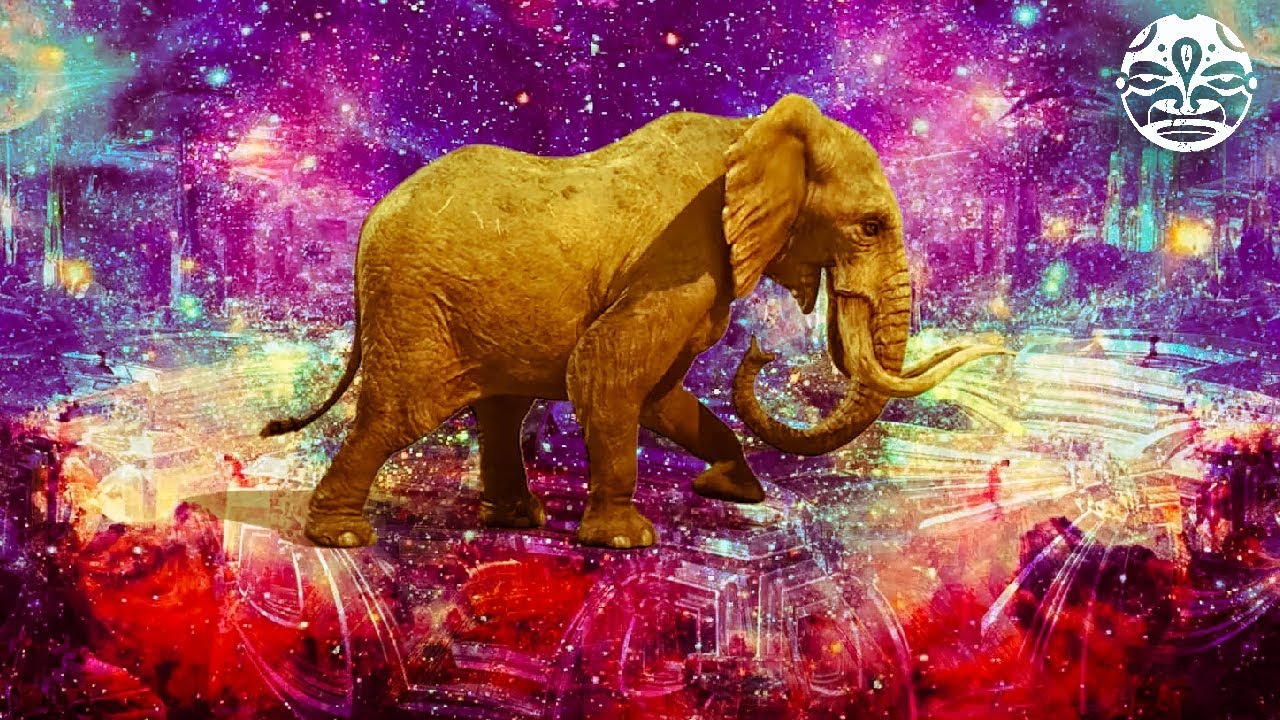 CHILL OUT for the next 5 Minutes 🖐😀 MIND CHILL - ELEPHANT SPACE WALK ...