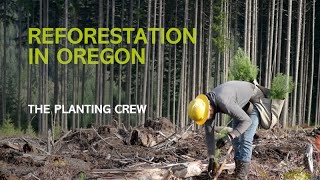 Reforestation in Oregon: The Planting Crew