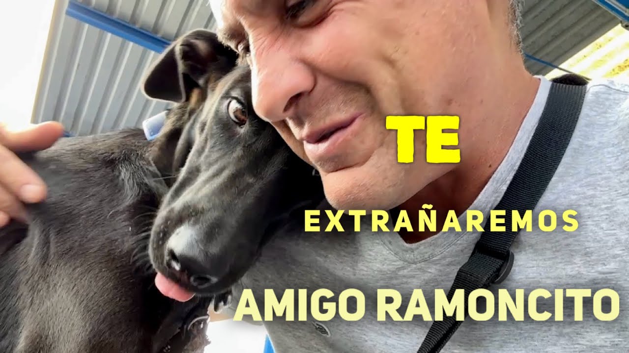 A ramonsito no lo recibieron bien . Se adaptará ? Perrito ramoncito ...