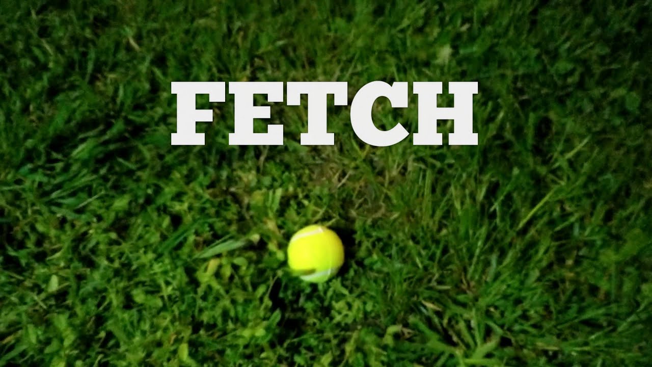Fetch - YouTube