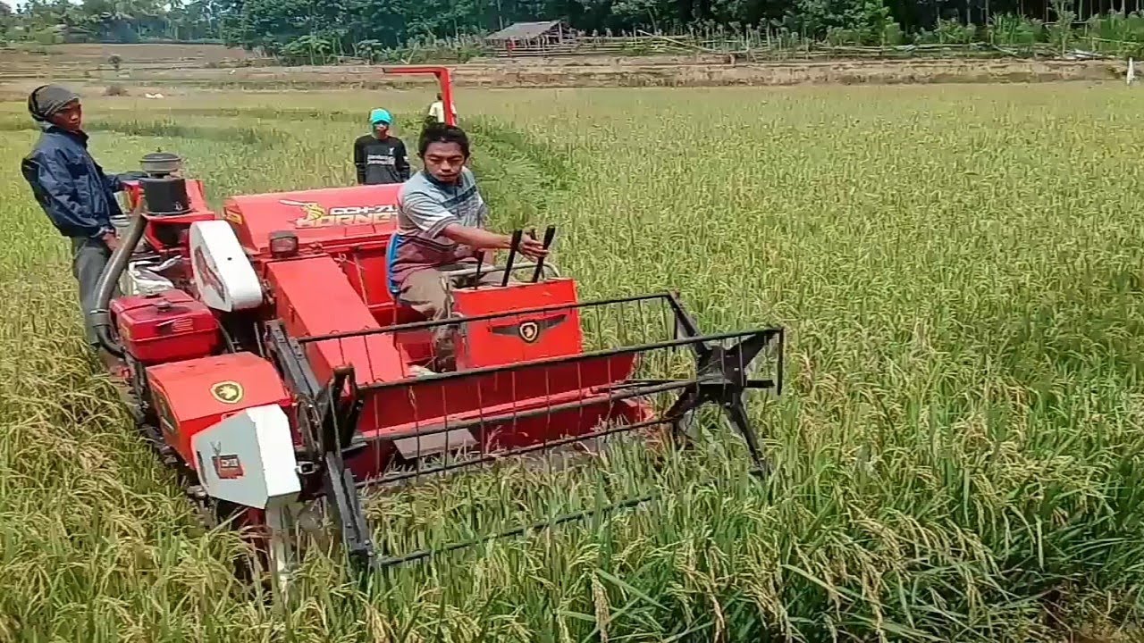 Alat Mesin Combi Panen Padi | Panen Padi Ngebut Dengan Combine ...