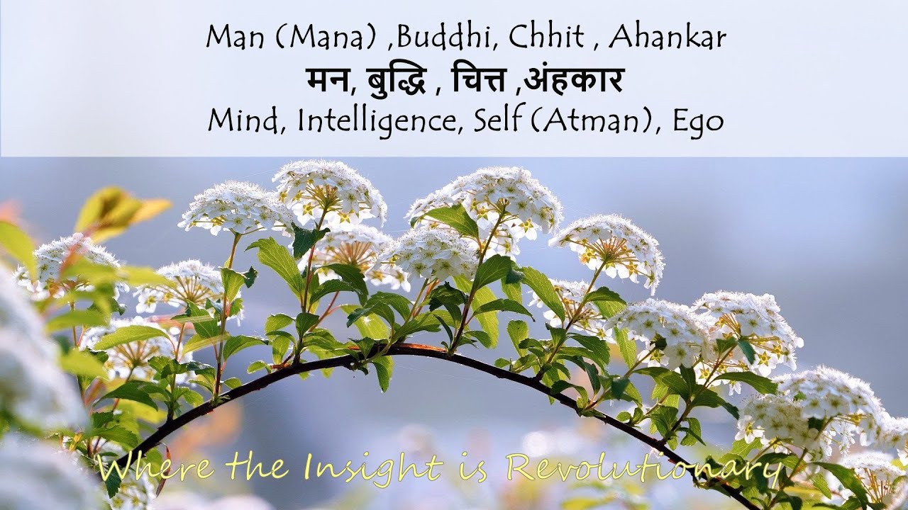 Man (Mana) ,Buddhi, Chhit , Ahankar मन, बुद्धि , चित्त ,अंहकार Mind ...