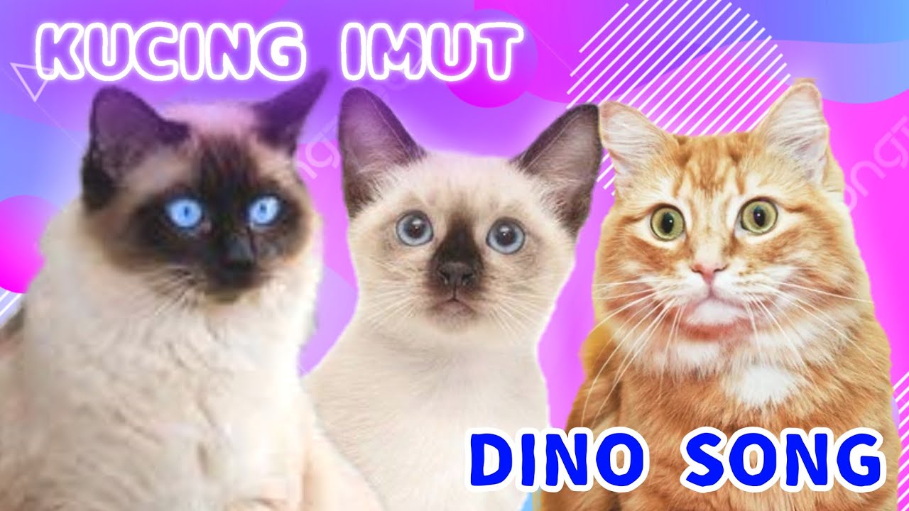KUCING MEONG MEONG ‼️ NASIB KUCING PENJUAL GALON ‼️ DINO SONG 🦖 LAGU ...