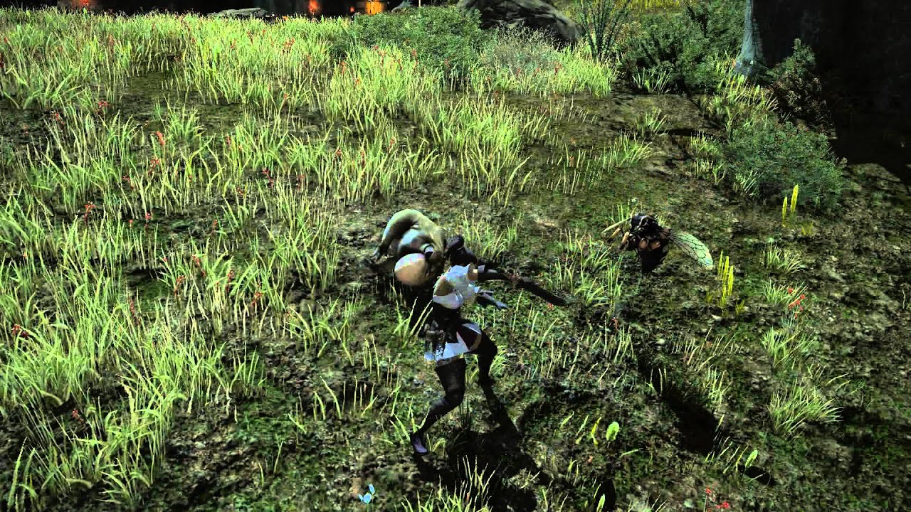 Final Fantasy XIV Female Hyur Highlander Voice 3 - YouTube