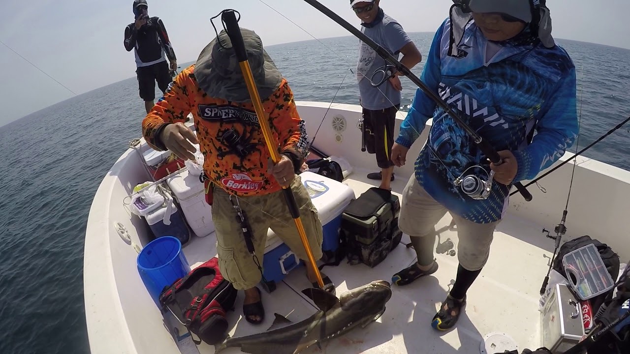 Qatar Deep Sea Fishing Part-12 - YouTube