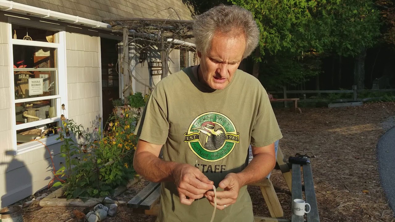 Osage Horse Bow Sinew Backing #1 - YouTube