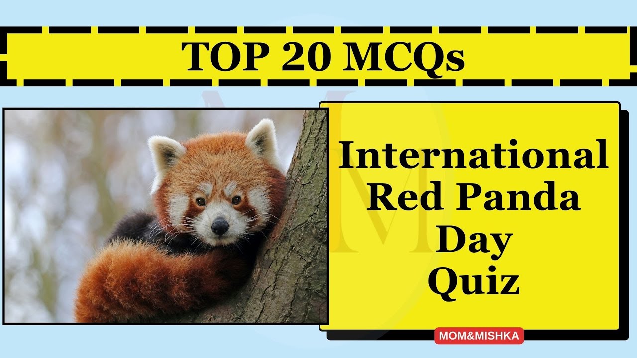Red Panda day 2024 - Quiz in English - Quiz on Red Panda ...