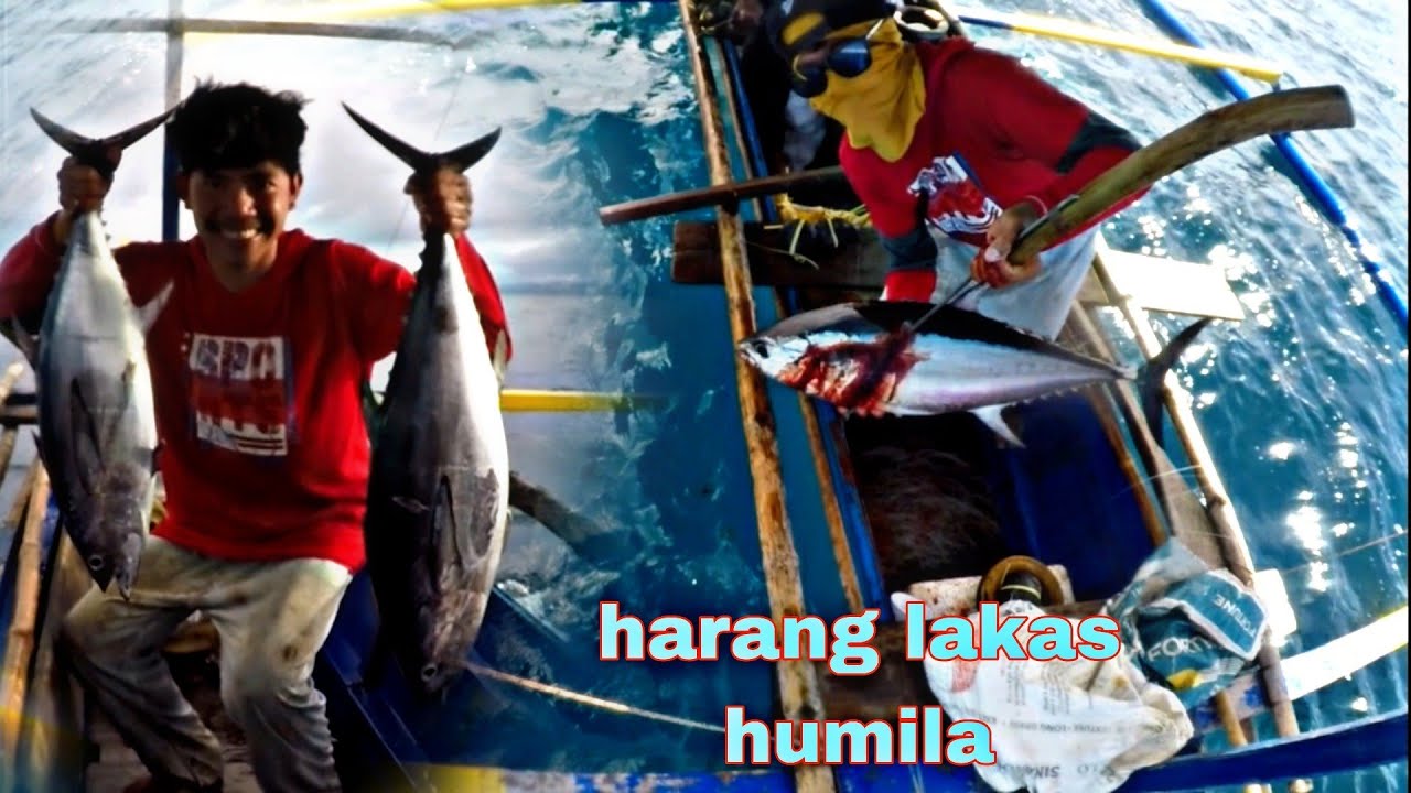 TAMBAKOL ANG NAHIHILA DITO at mga pulamg ISDA at TALAKITOK NA MALALAKE ...