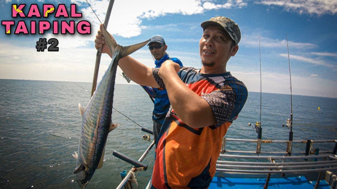 IKAN TIMAH kegemaran Sang Raja - YouTube