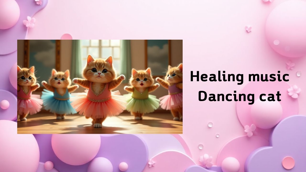 Healing Music- Dancing cat. A cute cat is dancing. - YouTube