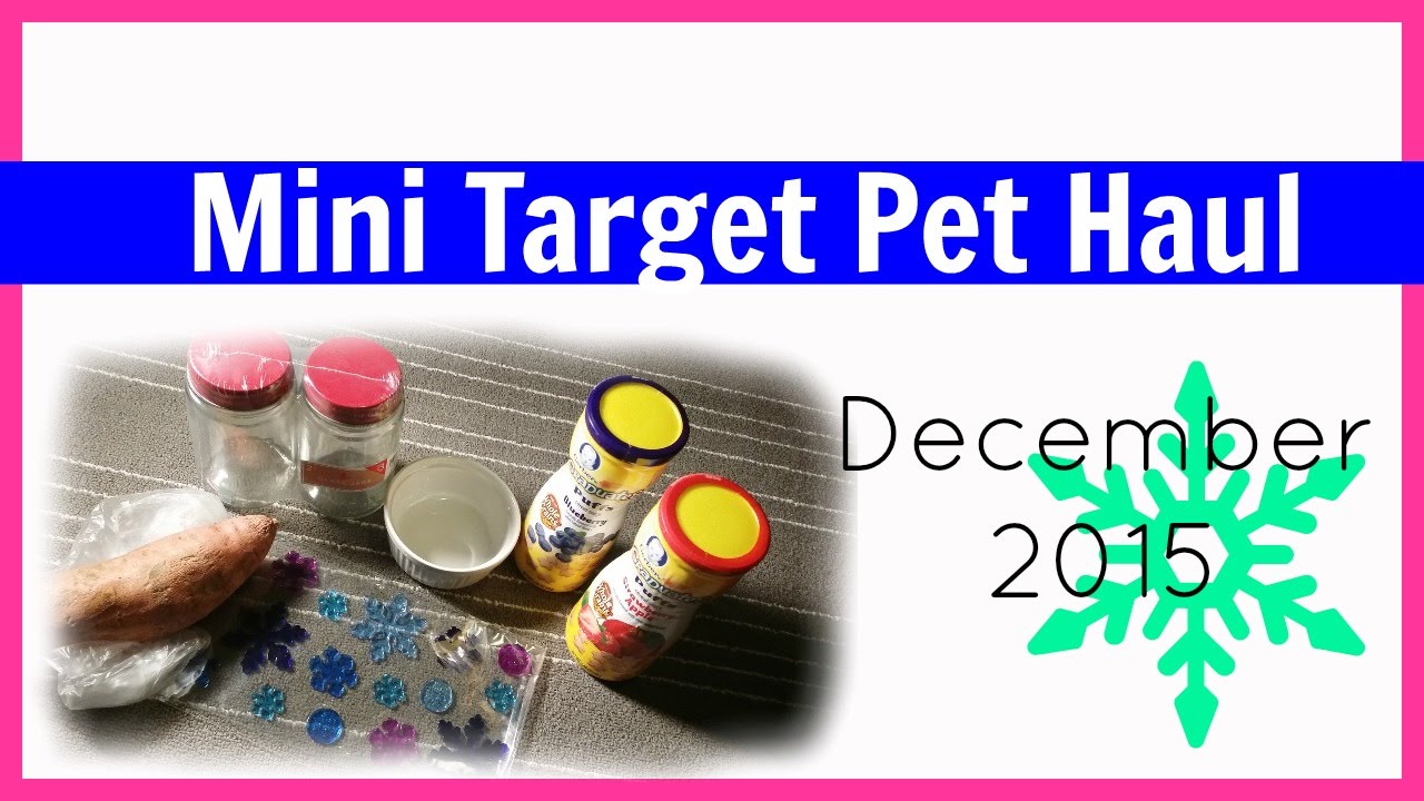 Mini Target Pet HAUL! | Cgpets101 - YouTube