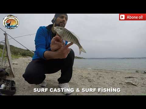 surf casting İZMİR ALSANCAK KORDON GERENCE KORFEZİ CESME BALIK AVIMIZ  SURF CASTİNG SURF FİSHİNG