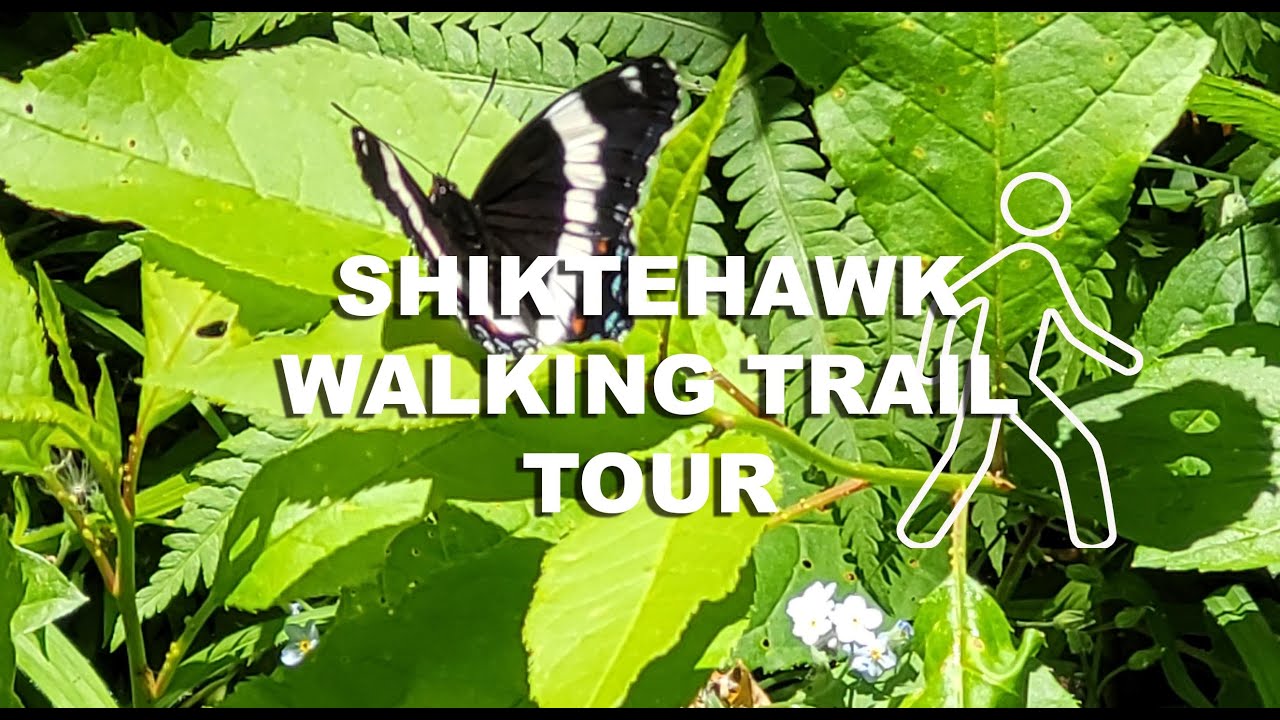 shiktehawk walking trail tour - calming piano music playlist - YouTube