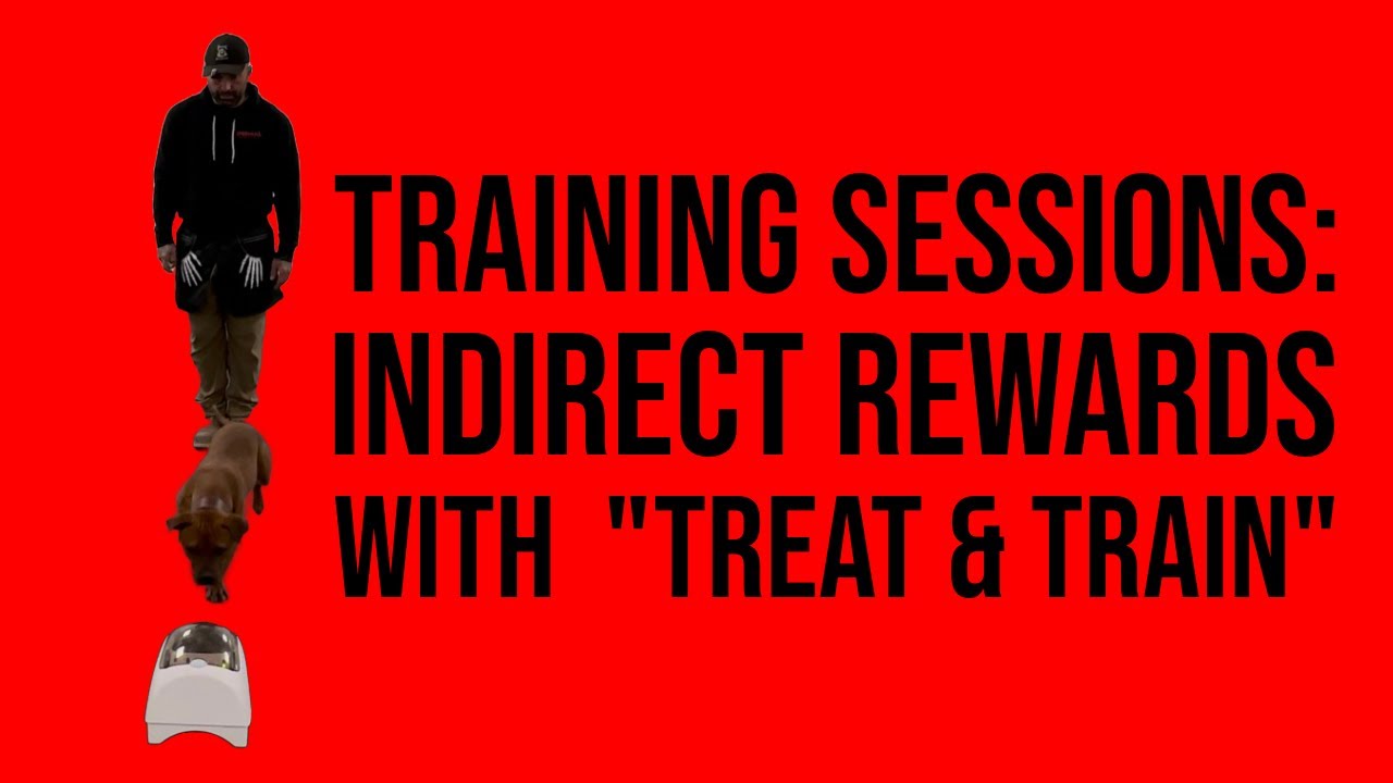 Training Sessions: Indirect rewards w/Treat & Train - YouTube
