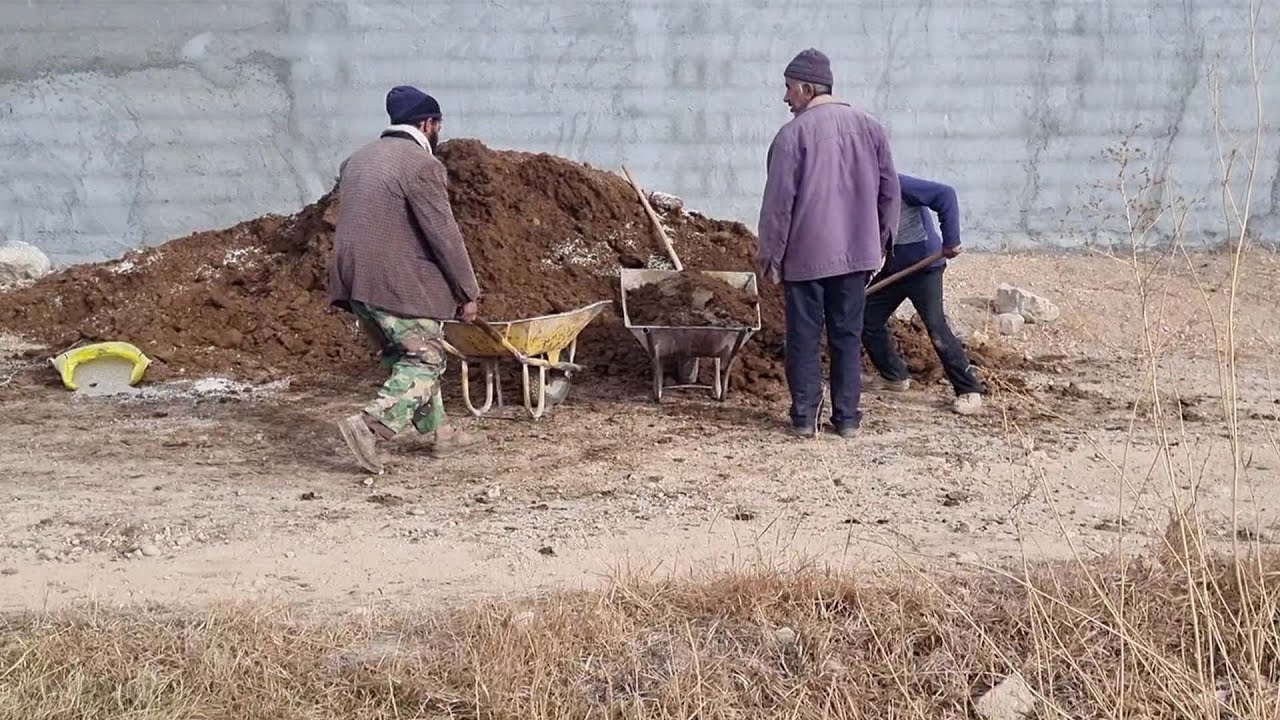 Using animal manure to strengthen trees. - YouTube