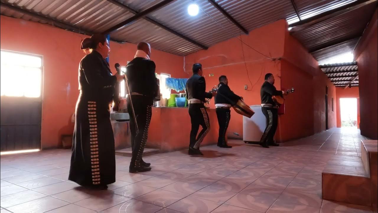 El Mariachi Loco - Mariachis en Morelia Michoacán Mariachi Valladolid ...