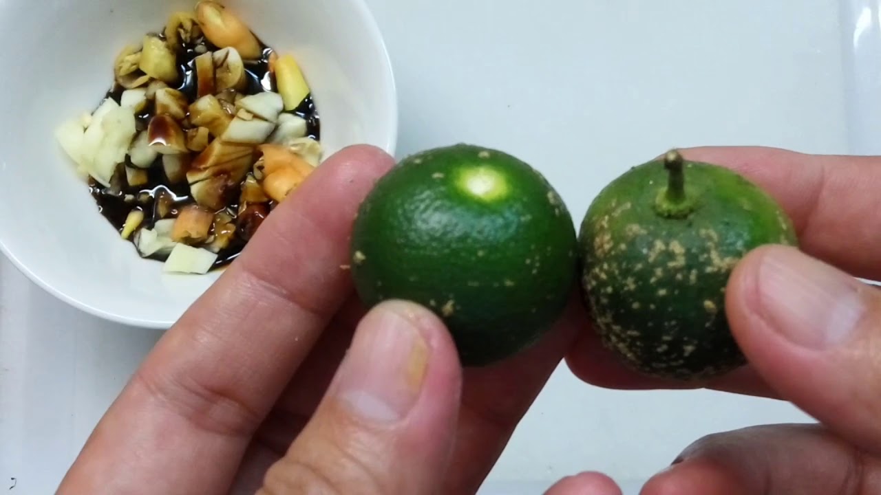 Snack sehat murah meriah di malam hari - YouTube