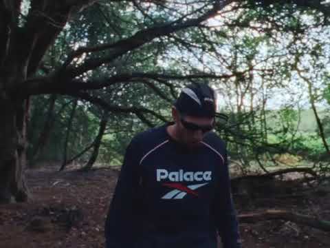 Palace X Reebok PUMP IT UP