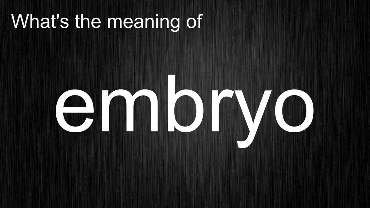 What's the meaning of "embryo", How to pronounce embryo? - YouTube