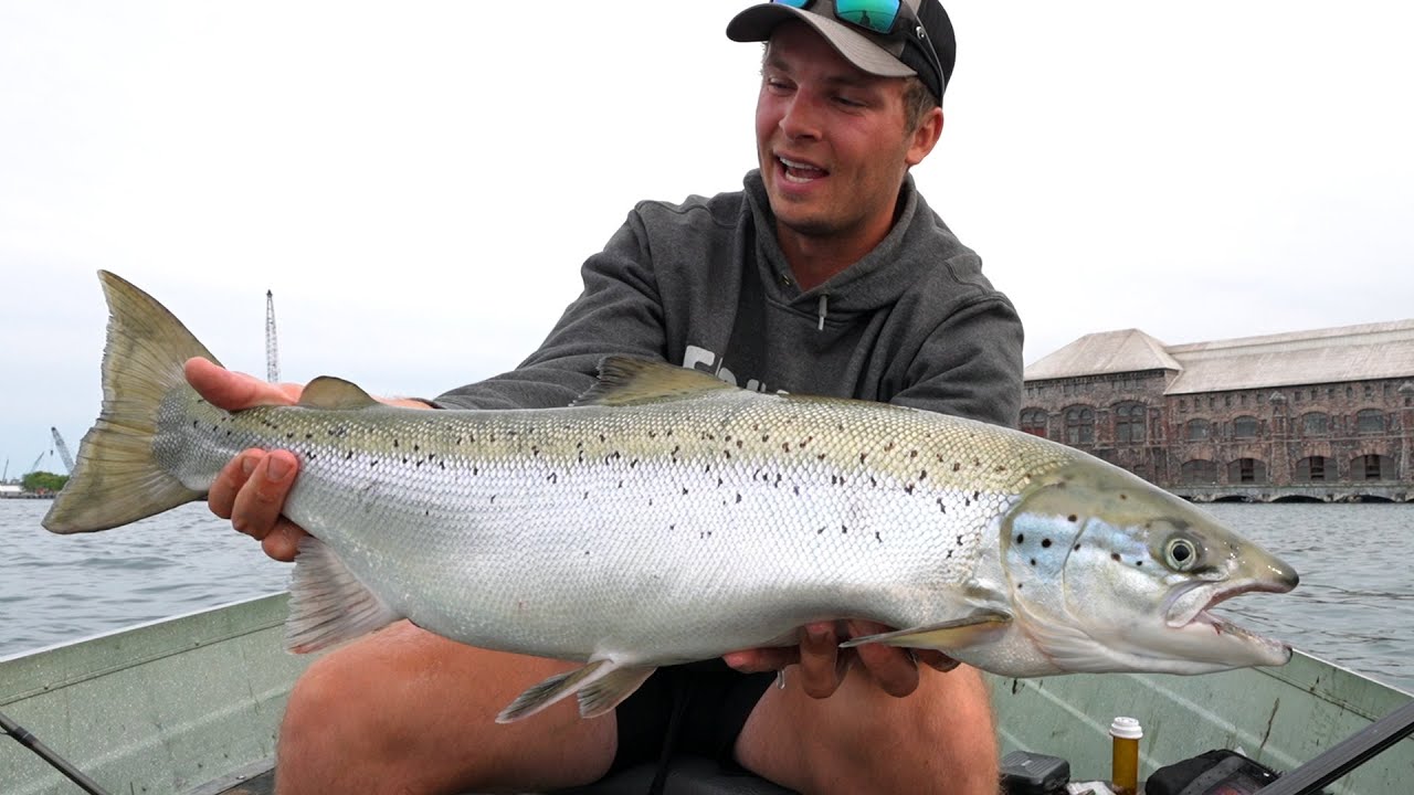 Master Salmon Angler