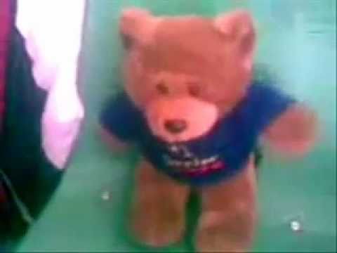 EL REGRESO DEL OSITO BAILARIN - YouTube