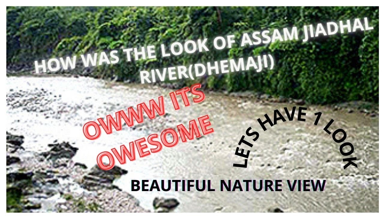 JIADHAL RIVER OF ASSAM(DHEMAJI) | BEAUTIFUL NATURE VIEW | PICNIC PLACE ...