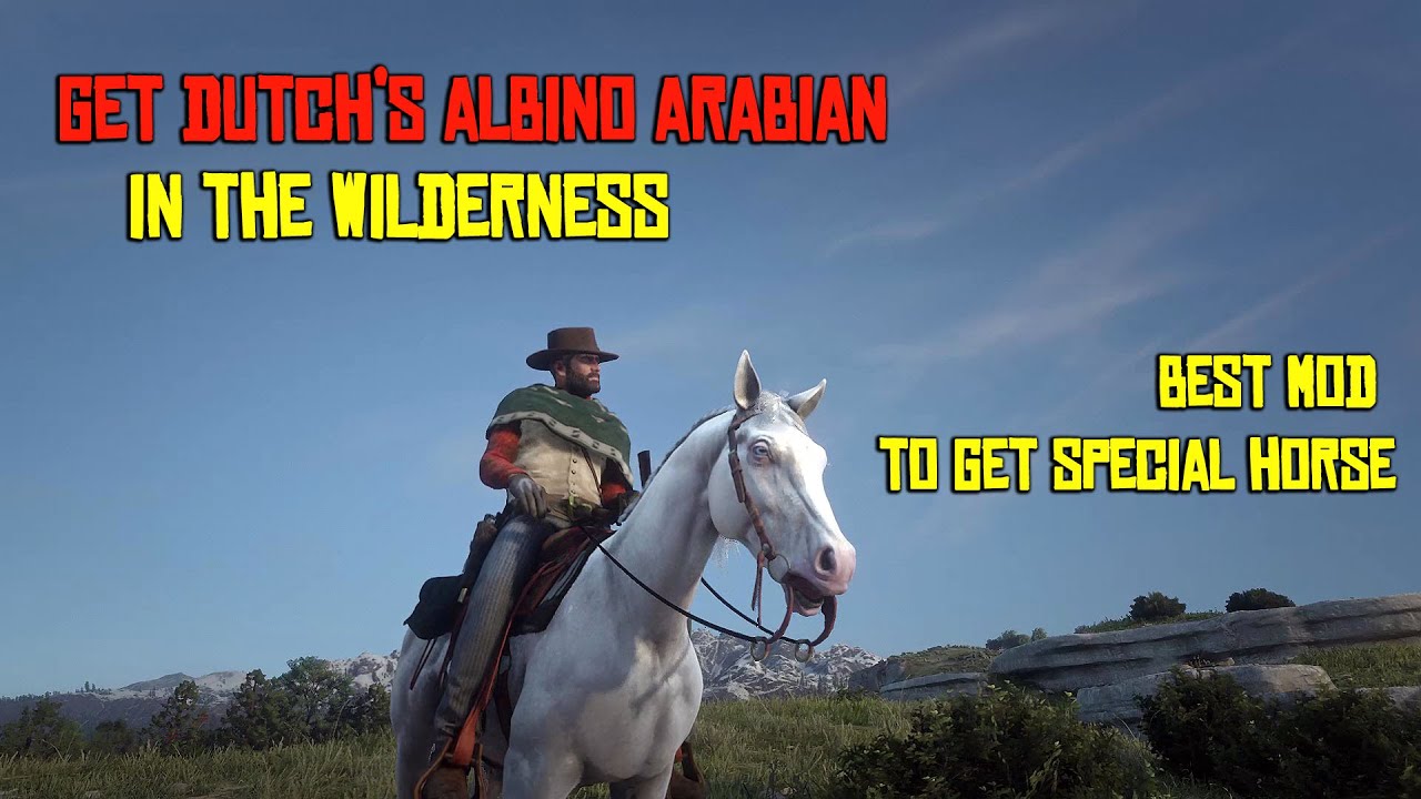 RDR2 - Get Dutch's Albino Arabian in the wild using mod. - YouTube