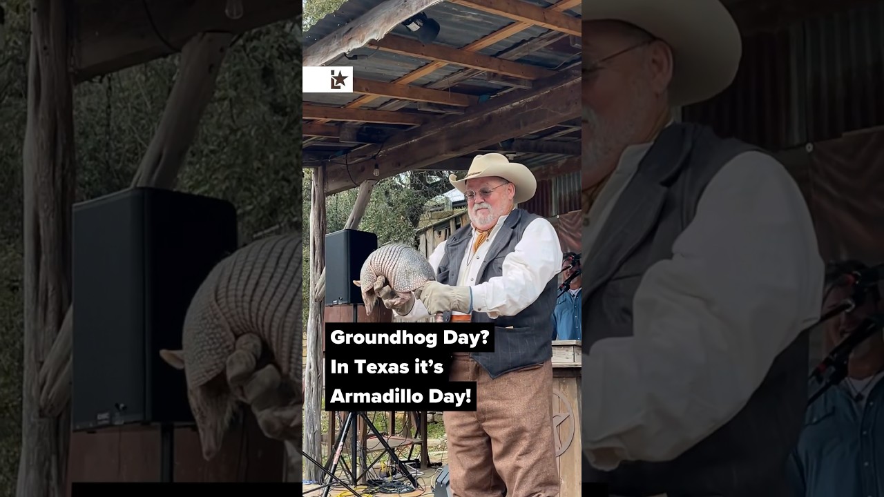 Groundhog Day? In Texas it’s Armadillo Day! #austin #texas #groundhogday #armadillo - YouTube