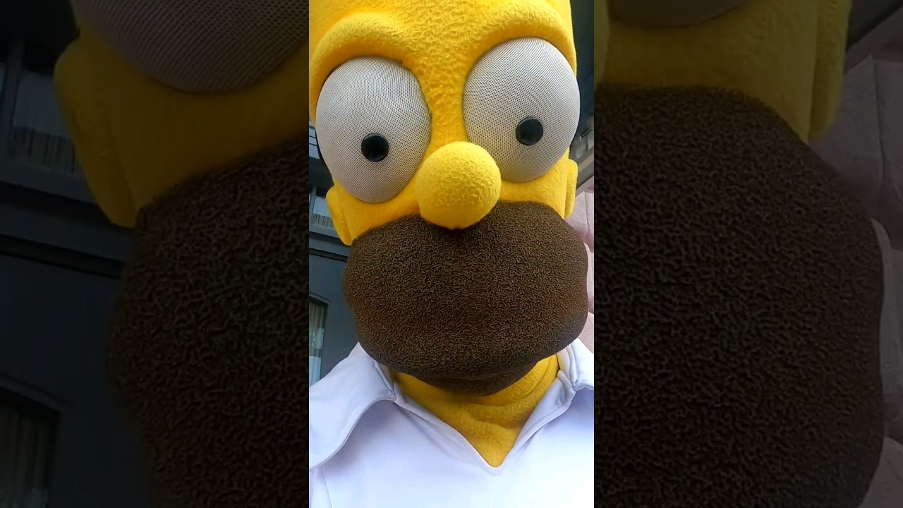 Homer Simpson gave me a hug&blewmeakiss#homersimpson#bart#lisa# ...