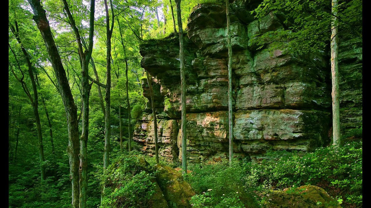 The Woods - A Short Film by Loyal Ploof - YouTube