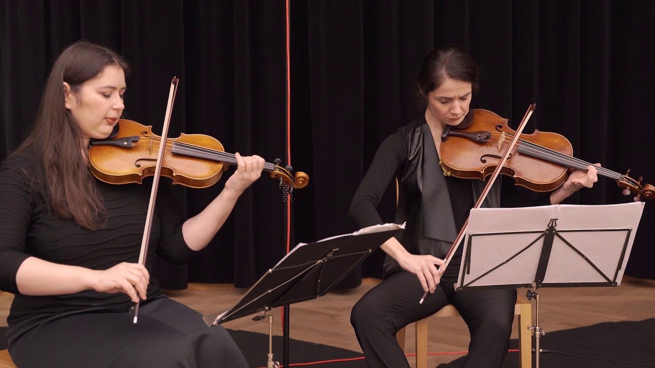 Franz - Ippisch - Ensemble (FIEN) Concert at Leopold - Museum Vienna ...
