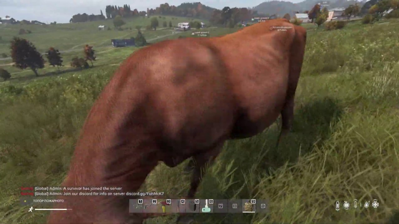 DayZ cows final - YouTube