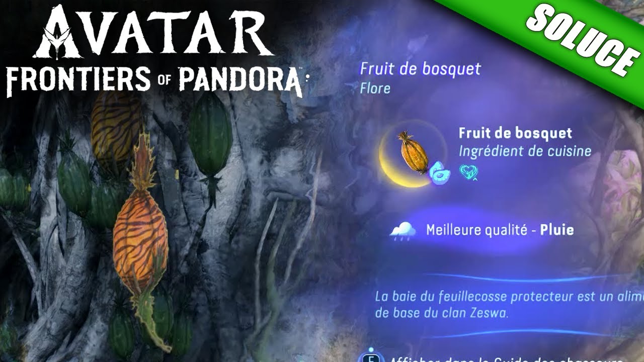 Où trouver des Fruits de bosquet de Qualité SUBLIME - Avatar Frontiers ...